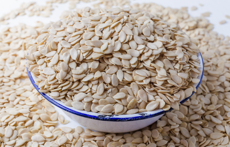 EGUSI SEEDS – MINI CAM AGRO INDUSTRIAL & CONSTRUCTION COMPANY LIMITED